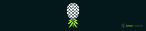 Upside-Down Pineapple Meaning and Its Surprising Symbolism
