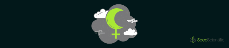 What Is Lilith in Astrology: What to Know About the Dark Moon